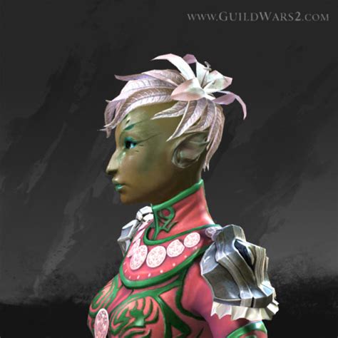 Guild Wars 2 Radio And News Station • More