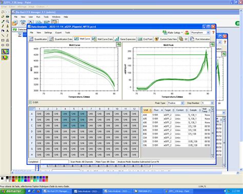 Egfp Primers For Qpcr And Amplification In Ntc Researchgate