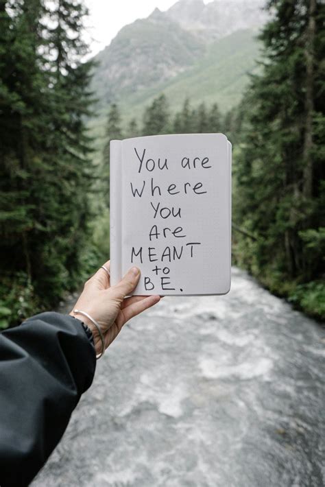 강 개울 개인적 성장 경치 고독 고요한 공책 광야 나무 동기 부여 인용 마음가짐 메시지 명상 모험 물 방랑벽 배낭여행 상록수 손 숲 쓰는