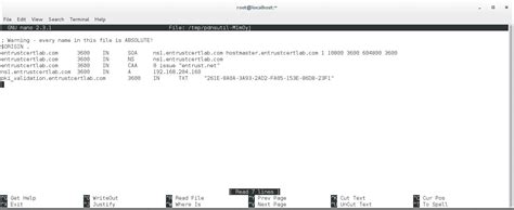 Ecs Enterprise Self Service Adding A Domain From Powerdns