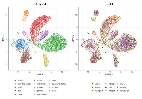 Dataset Pancreas