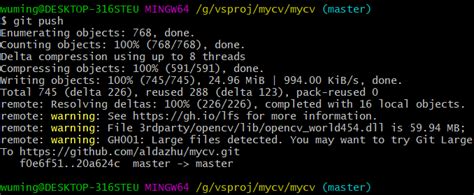 git删除已经提交的大文件 git 删除已提交的二进制 csdn博客