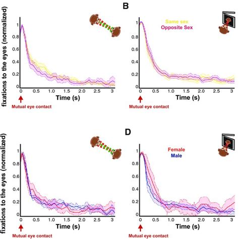Sex Related Variables Do Not Drive Differential Social Gaze Dynamics