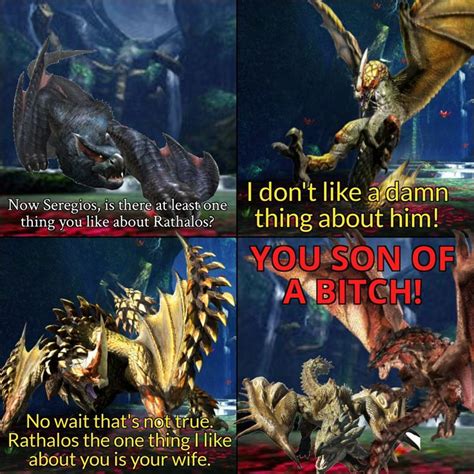 Pin By Nicholas Harber On Monster Hunter Monster Hunter Memes