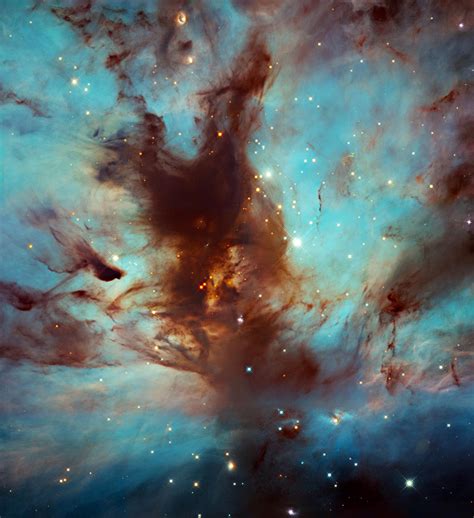 Dark Dusty Heart Hubble Captures Swirls Of Dust In The Flame Nebula