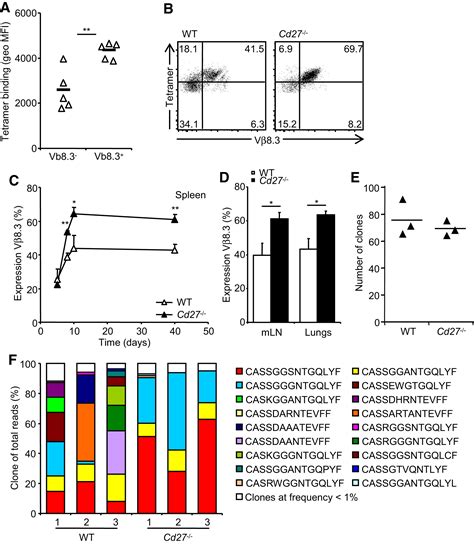 The Costimulatory Molecule Cd27 Maintains Clonally Diverse Cd8 T Cell