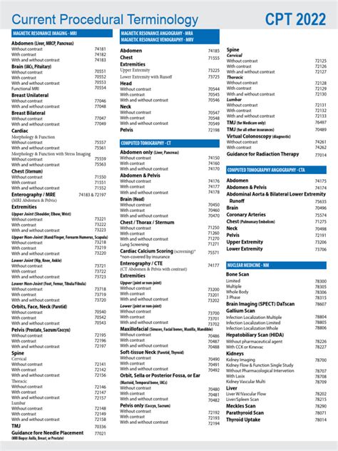 Cpta Codificacion Pdf Vertebral Column Pelvis