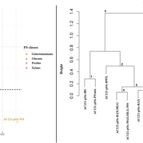 a principal component analysis pca biplot and b hierarchical