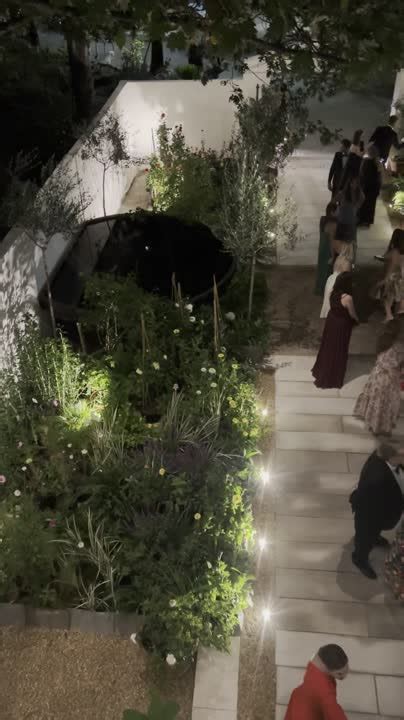 Video Triston Parsons On Linkedin Definitely One Of Those Moments When You Think This Is