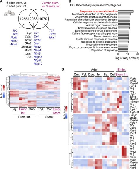 Location Specific Cell Identity Rather Than Exposure To Gi Microbiota Defines Many Innate Immune