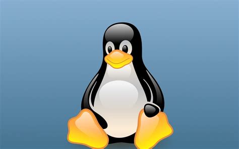 Tux Wallpaper 56 Pictures Wallpaperset