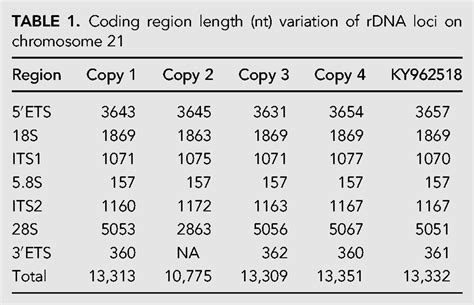 Widespread Genetic Heterogeneity Of Human Ribosomal Rna Genes