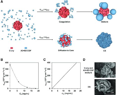 Coagulation And Diffusion To Core Of Shell Cof During Core Shell Download Scientific Diagram