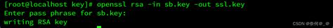 Nginx生成自定义证书 Csdn博客