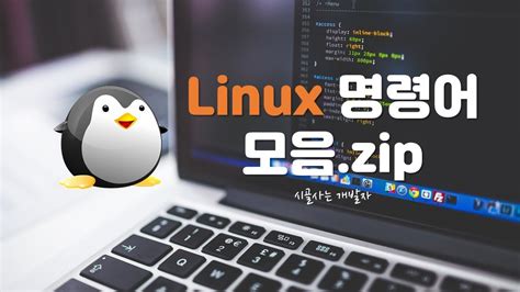 리눅스 명령어 모음 초중급 개발자를 위한 기본 명령어 강좌 Youtube
