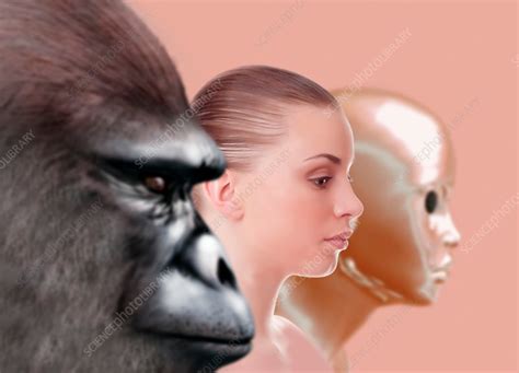 Future Human Evolution Predictions