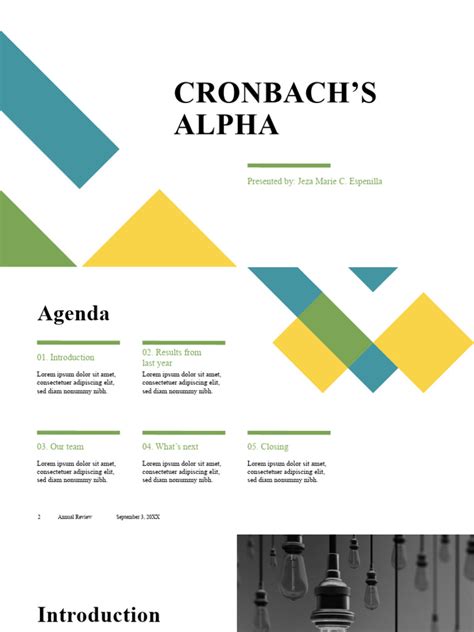 cronbach s alpha pdf