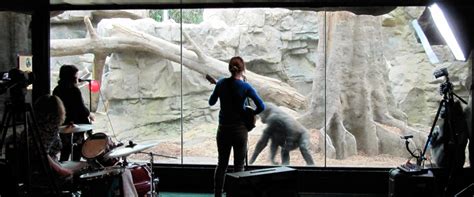 Laurel Braitman Headlands Center For The Arts