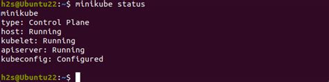 如何在 Ubuntu 2204 Lts Linux 上安装 Minikube Linuxstory