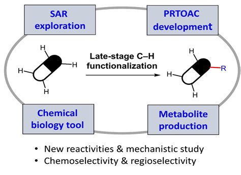 Dr Shiqing Xu S Lab