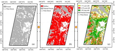 Remote Sensing Free Full Text Mapping Deciduous Rubber Plantation
