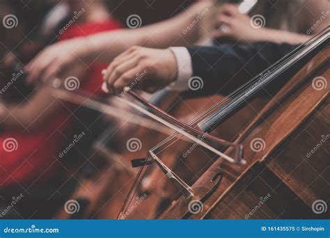 Double Basses And Cellos Side View Background Wallpaper Double