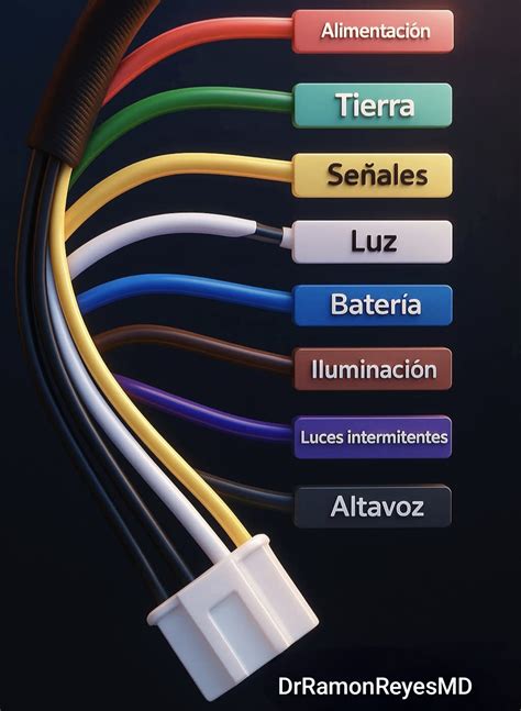Ems Solutions International Interpretación Profesional Del Código De