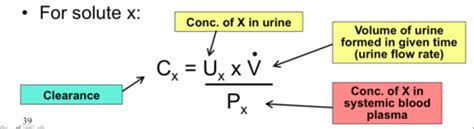 Pharmacokinetics Flashcards Quizlet