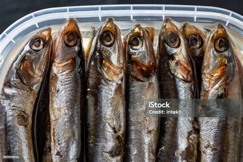 플라스틱 용기에 기름에 소금에 절인 멸치 근접 촬영 평면도 음식 배경 올리브유에 대한 스톡 사진 및 기타 이미지 올리브유 정어리 건강한 생활방식 Istock