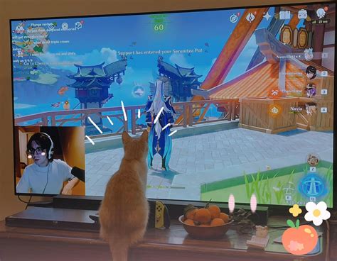 Bb Watching Zyox Too Rokzyox