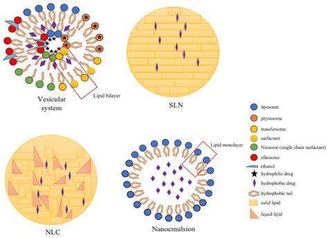 Improved Activity Of Herbal Medicines Through Nanotechnology
