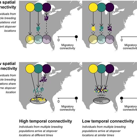 Theoretical Snapshot Of The Spatial And Temporal Components Of Download Scientific Diagram