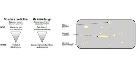 Computational Protein Design To Address Challenges In Biotechnology