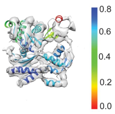 Congratulations The Png Image Has Been Downloaded Images Sccc Graphic Design Hd Png