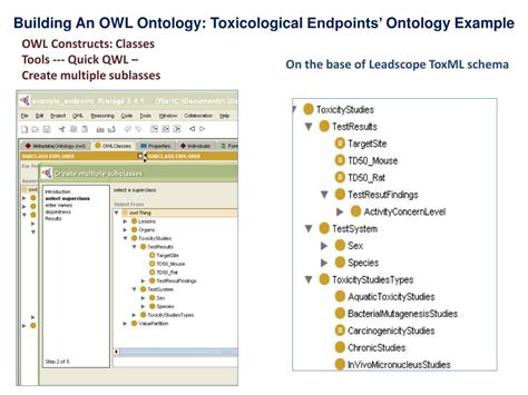 Ppt Building An Owl Ontology Toxicological Endpoints Ontology Example Powerpoint
