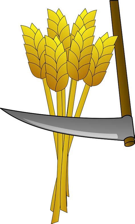 300 Free Corn Clipart Images