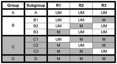 Schematic of 3R classification. All three regions of the MGMT promoter ...