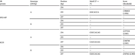 Potential Exon Splicing Enhancer Prediction At The Synonymous Mutation