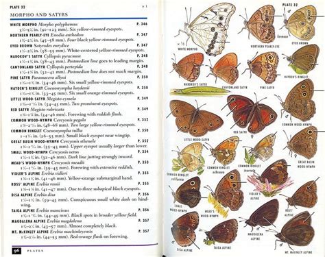 Western Butterflies Peterson Field Guides