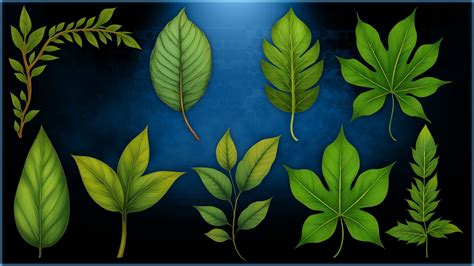 Artstation 100 Stylized Leaves Pbr Textures Mega Bundle Vol 8