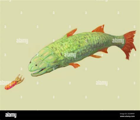 Guiyu Oneiros Lived During The Late Silurian Period About 419 Million