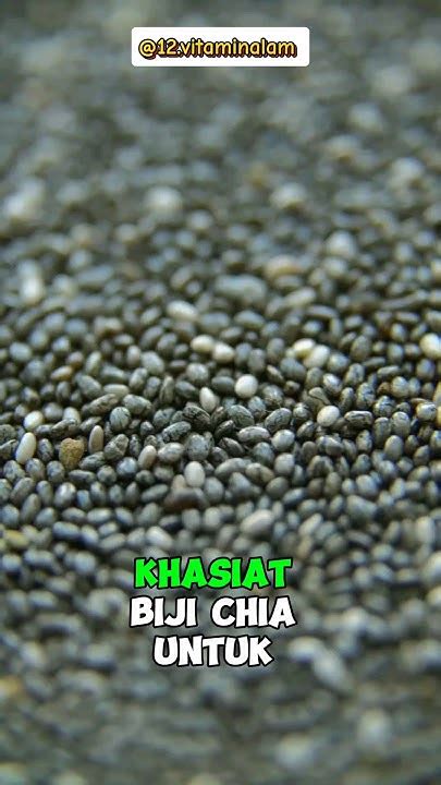 Khasiat Biji Chia Untuk Pencernaan Vitaminalam Bijichia Pencernaan Superfood Sehat Youtube