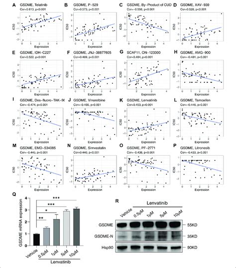 Sensitivity Correlation Analysis Between The Independent Prognostic Download Scientific