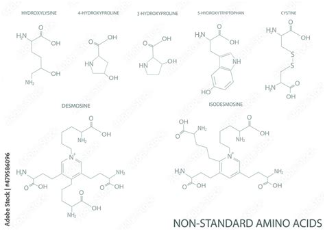 Non Standard Amino Acid Molecular Skeletal Chemical Formula Stock