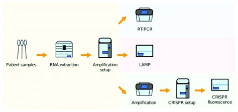 Schematic Illustrations Of Three Different Diagnostic Workflows From