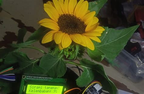 LCD I2c DHT11 Soil Moisture Sensor Webserver Esp8266 Smart Garden Weather Jurnalku By