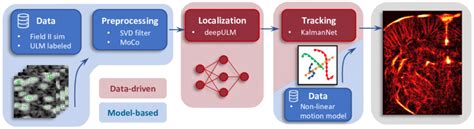 Hybrid Ultrasound Localization Microscopy Ulm Pipeline With Download Scientific Diagram