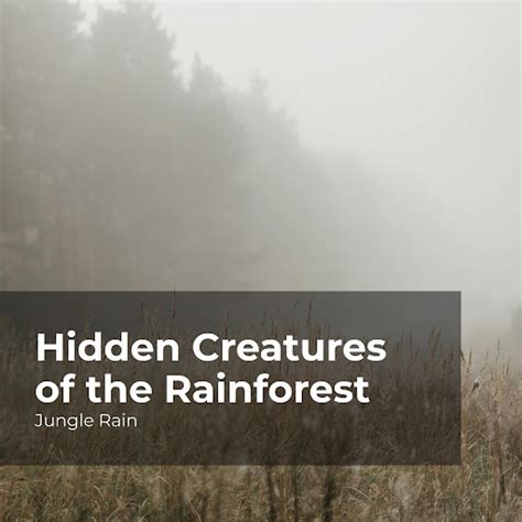 Tangled Jungle Rain Youtube Music