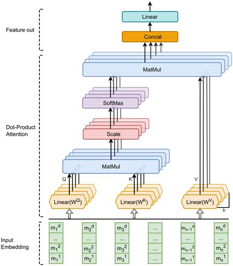 Applied Sciences Free Full Text A Multi Layer Feature Fusion Model