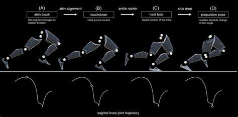 The Presented Conceptual Framework For An Efficient Linear Acceleration